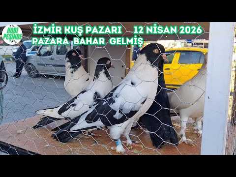 İZMİR KUŞ PAZARI #41   PAZARA BAHAR GELMİŞ