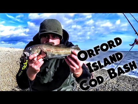Orford Island Cod Bash - Sea Fishing - YouTube