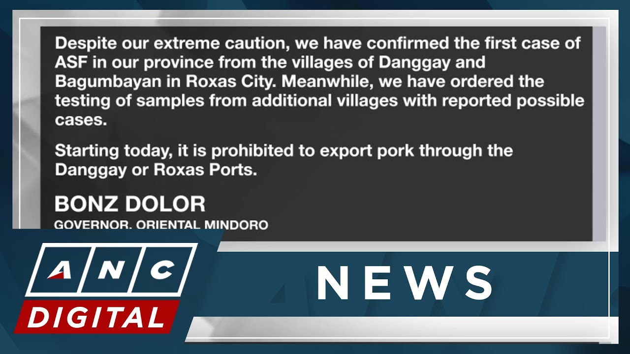 Oriental Mindoro records first ASF cases | ANC - YouTube