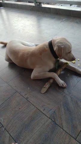 #cheraku thintunna pappy - YouTube