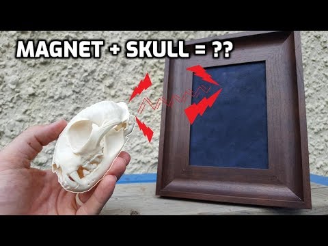 Using Magnets to Mount SKULLS! - YouTube