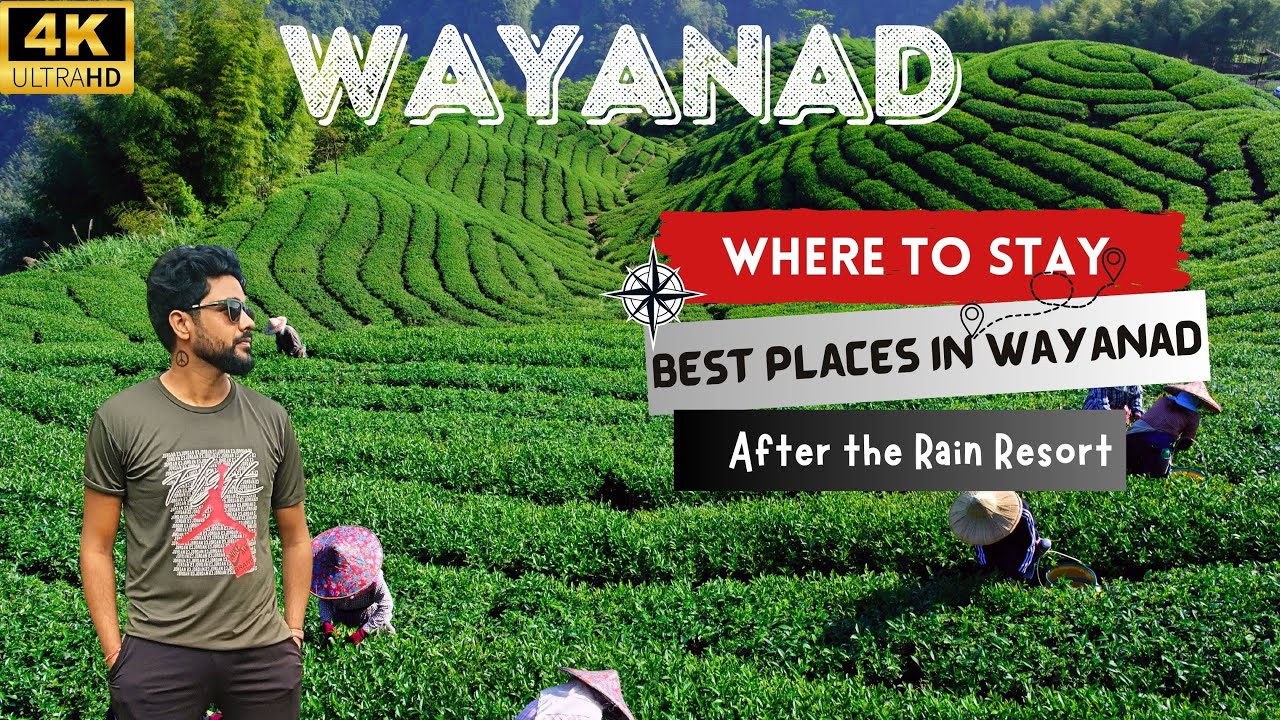 Best Tourist Places in Wayanad | After the Rains Resort | 900 Kandi Eco ...