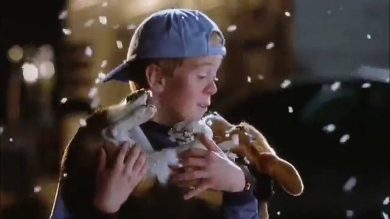 Cats And Dogs 2001 Movie - YouTube