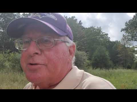 I've Got A System--August 23, 2020 - YouTube