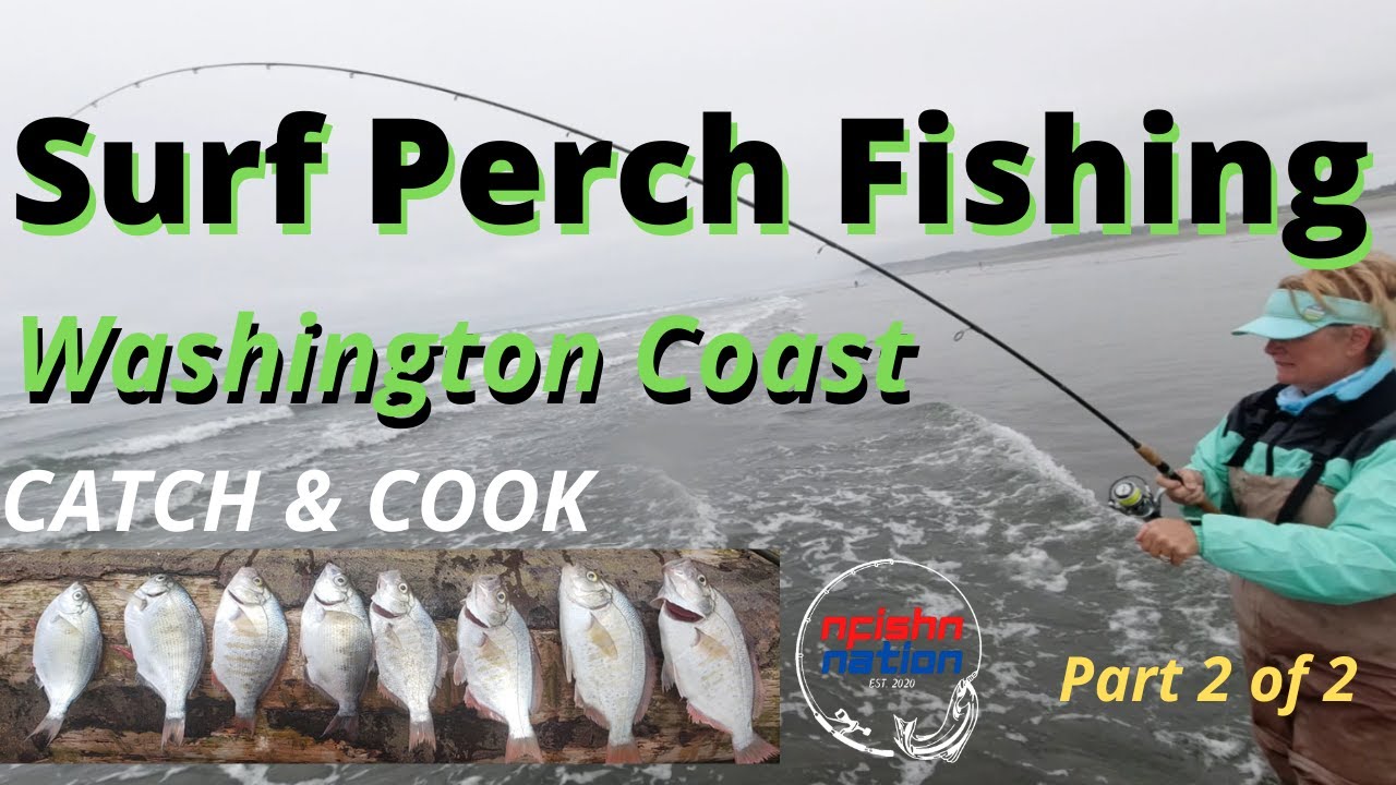 Surf Perch Fishing Washington Catch & Cook Red Tail Surf Perch Fishing ...