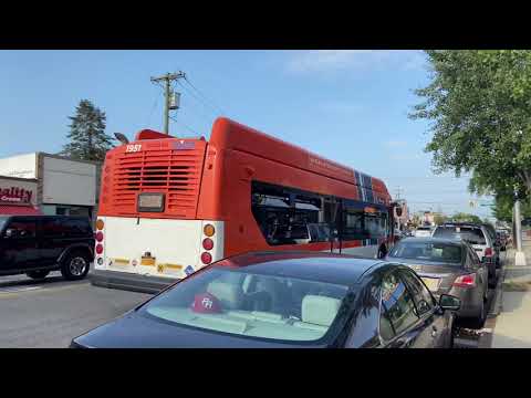 MTA NYCT/NICE Bus: Bus Action @ Hillside Ave & 258 Street [ Q43, X68 ...