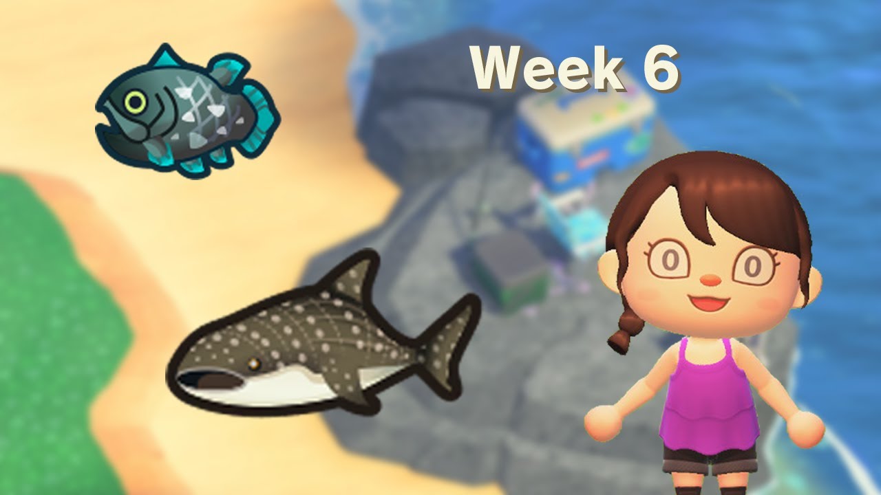 Whale Sharks and Coelacanths ALREADY?! | A Year in ACNH Week 6 - YouTube