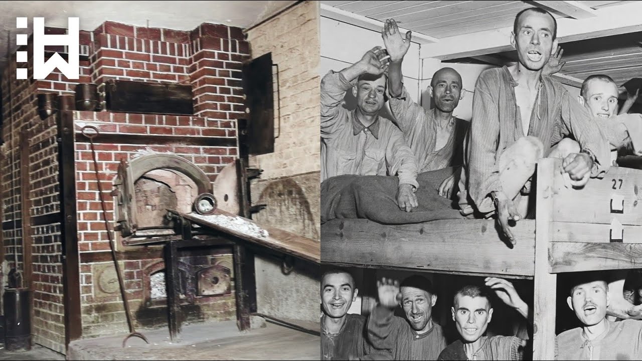 Massacre of 52 Nazi collaborators & 1 guard who was 'roasted alive' in ...