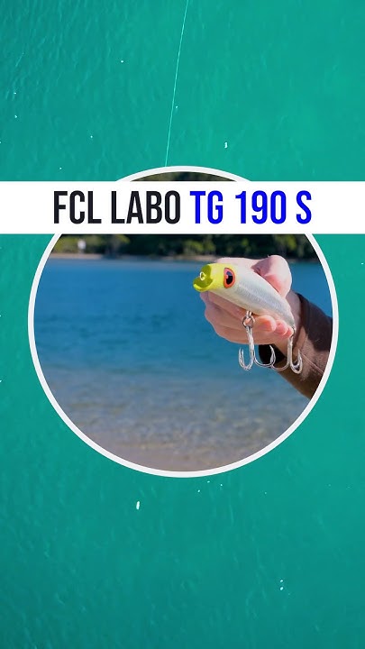 FCL Labo TG 190 S Lure Swimming - YouTube