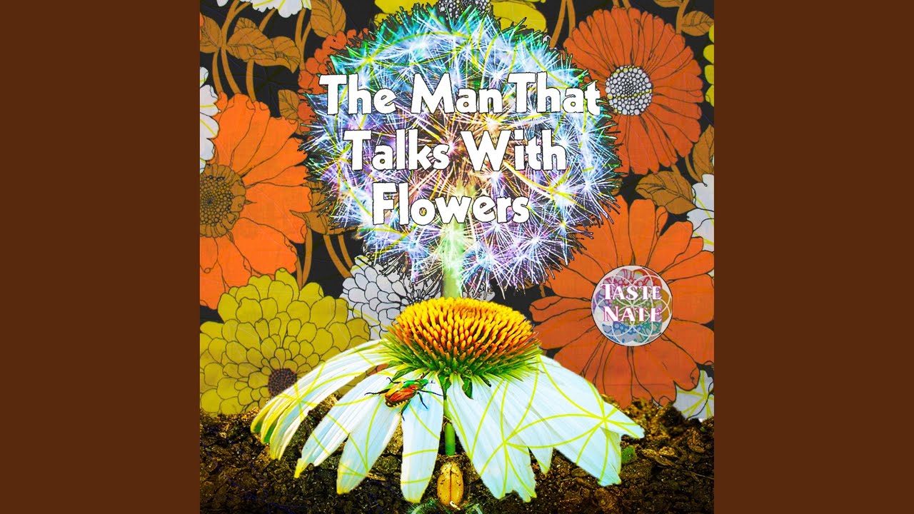 Venom Fly Trap - YouTube