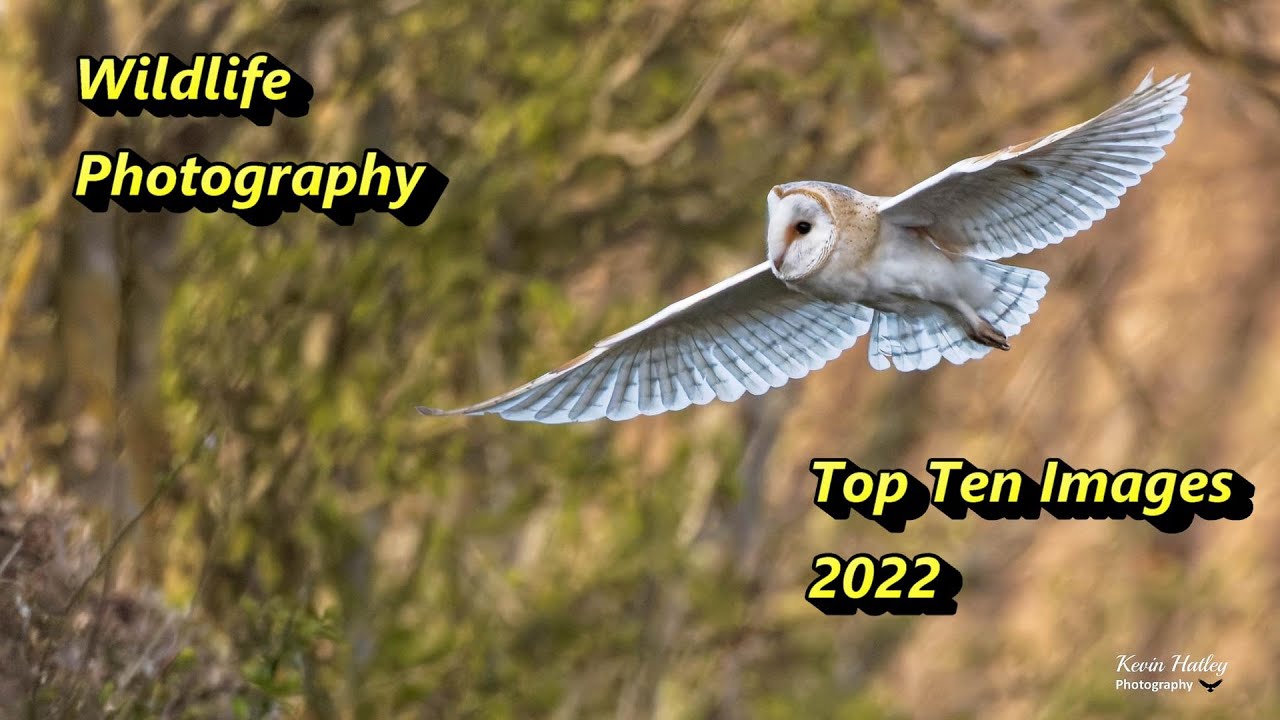 Kevin Hatley Photography Top Ten Images 2022 - YouTube