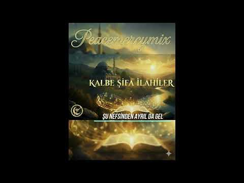 Şu Nefsinden Ayrıl Da Gel