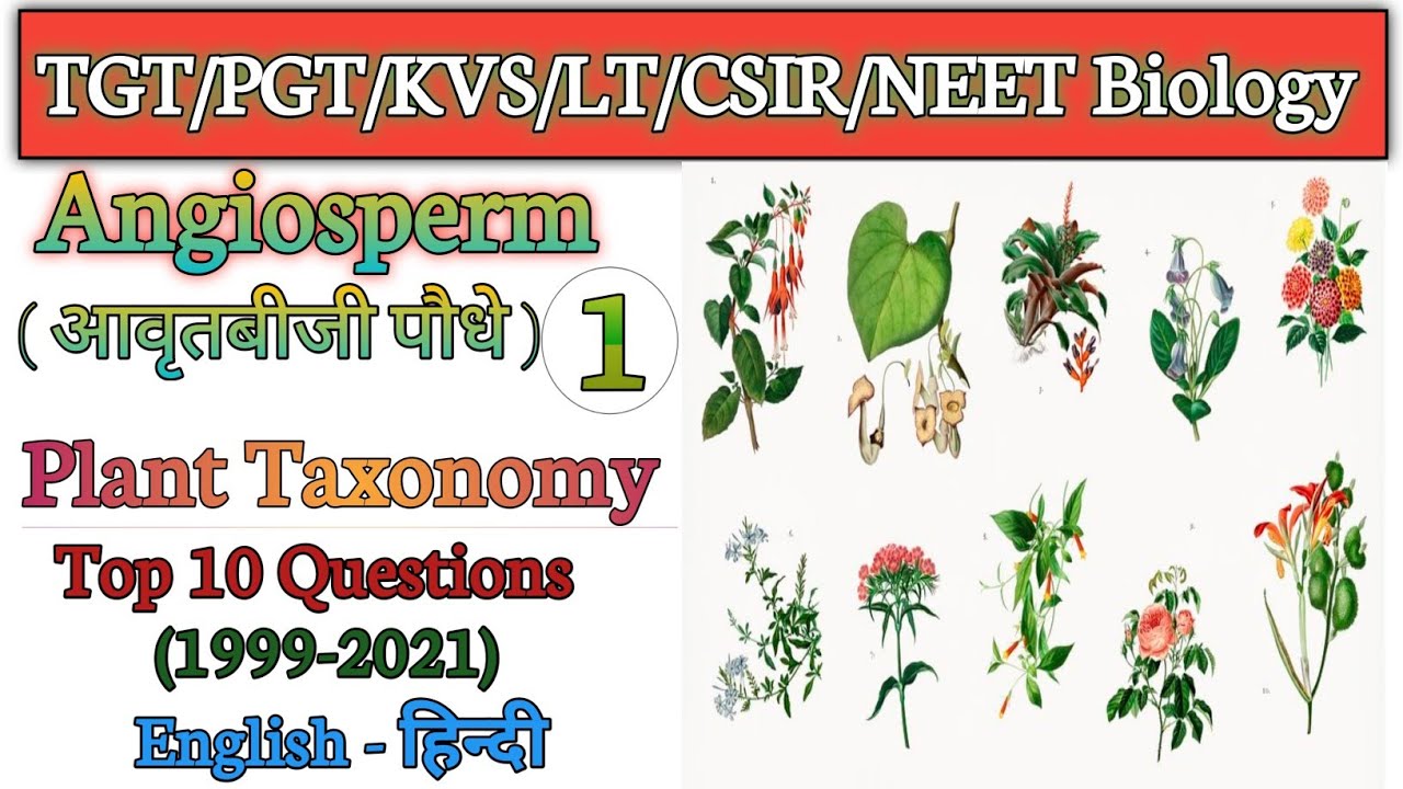 Angiosperm || Angiosperms || Angiosperms taxonomy || TGT PGT Biology ...