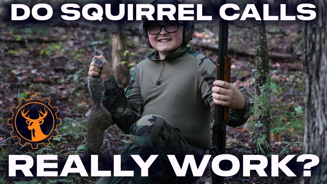 Can You Kill Squirrels Using a Squirrel Call? HD 720p - YouTube