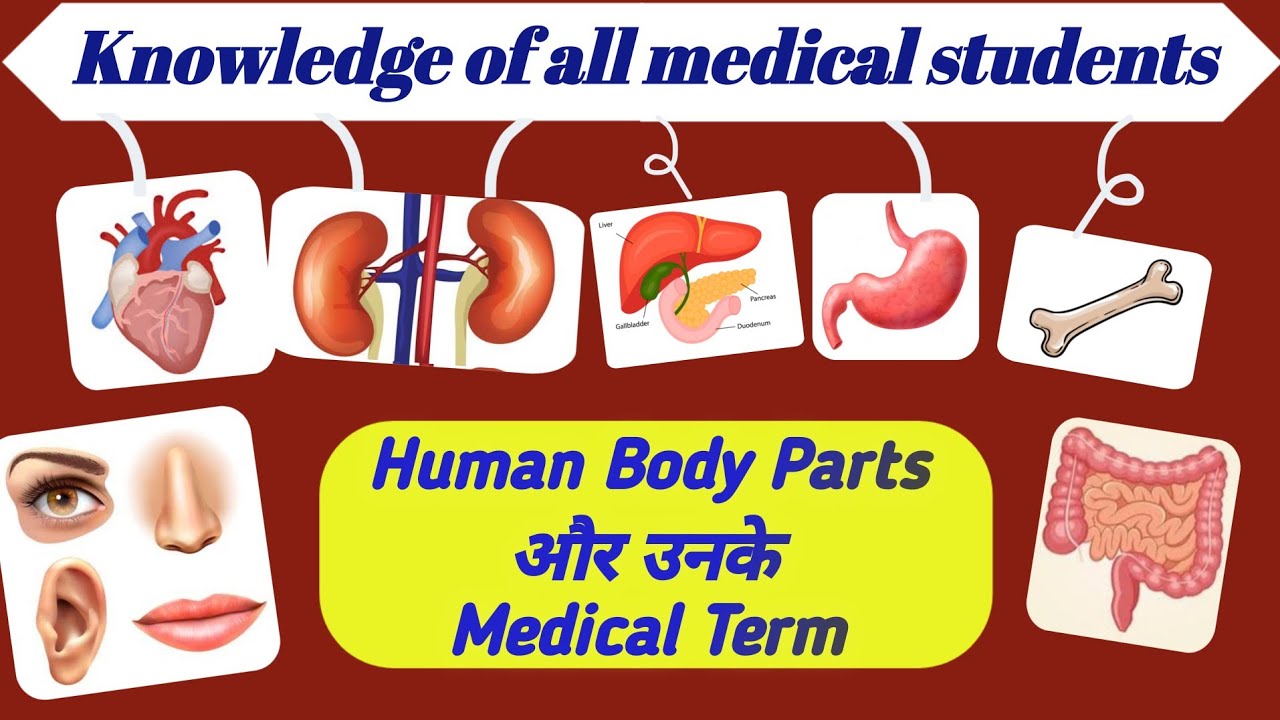 Medical Terminology/ #Human Body Parts and their Medical Term// #medico ...