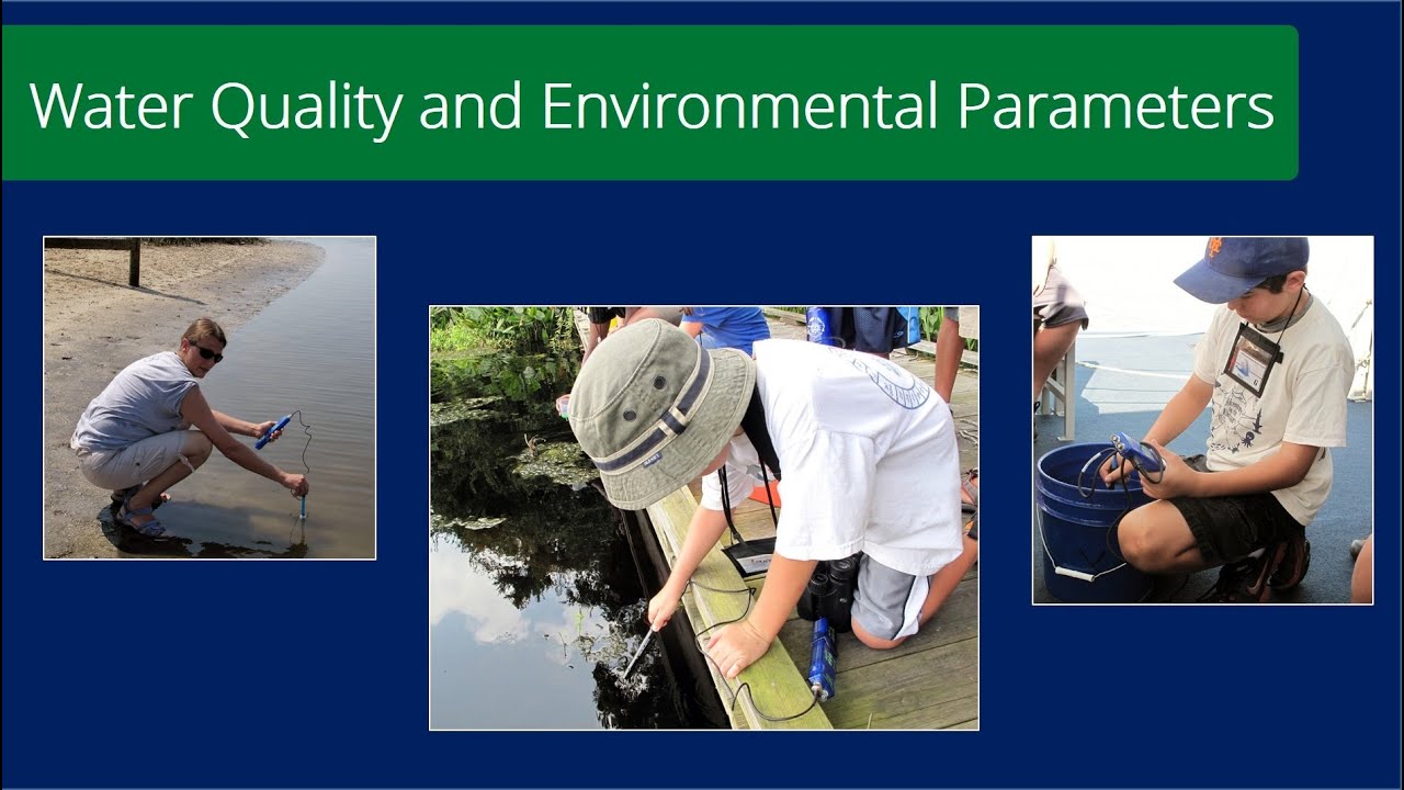Water Quality and Environmental Parameters - YouTube
