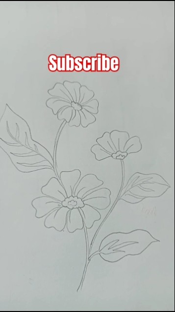 How to draw jiniya flowers/easy drawing#art #drawing #viral#shorts ...