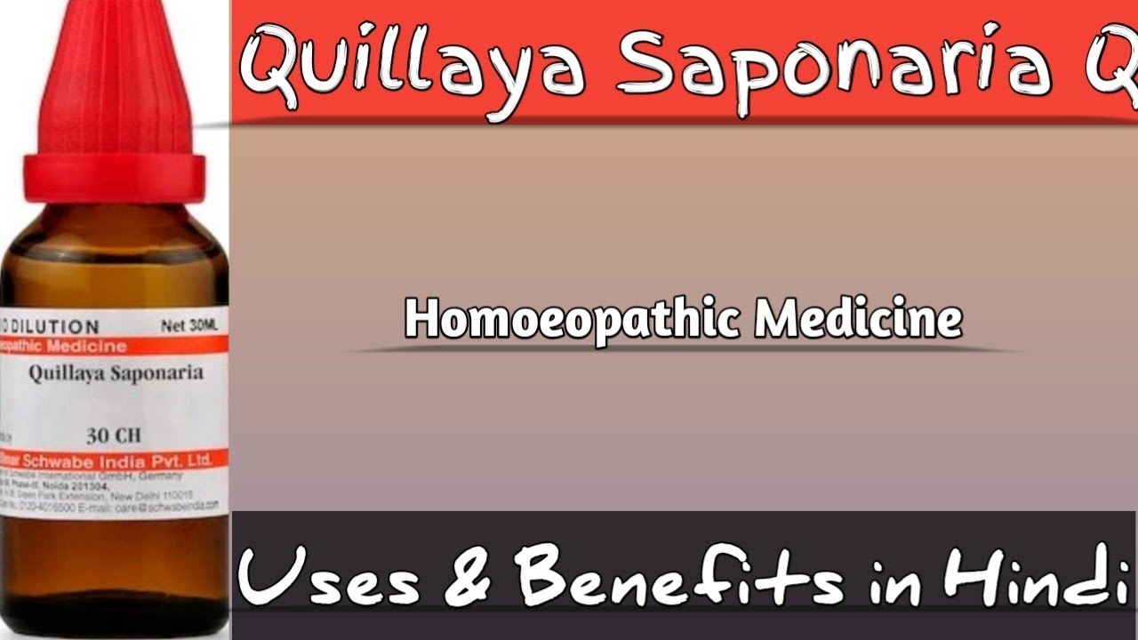 QUILLAYA SAPONARIA Q ll Use & Benefits in Hindi ll#Homoeopathicvines ...