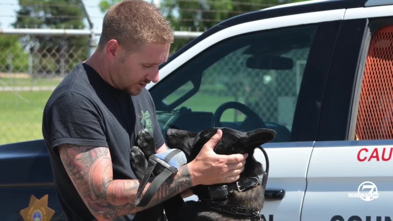 After K-9 Graffit's death, Jeffco deputy finds healing working with new ...