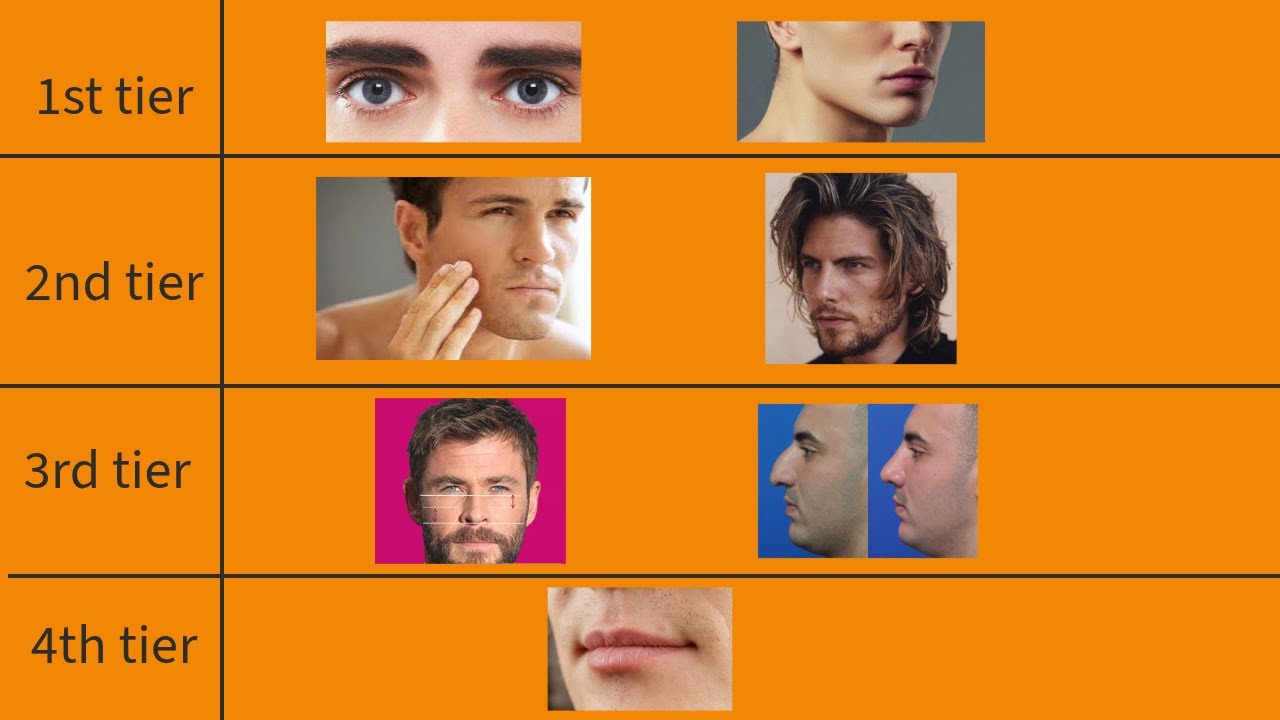 Ranking which facial feature is more important to determine ...