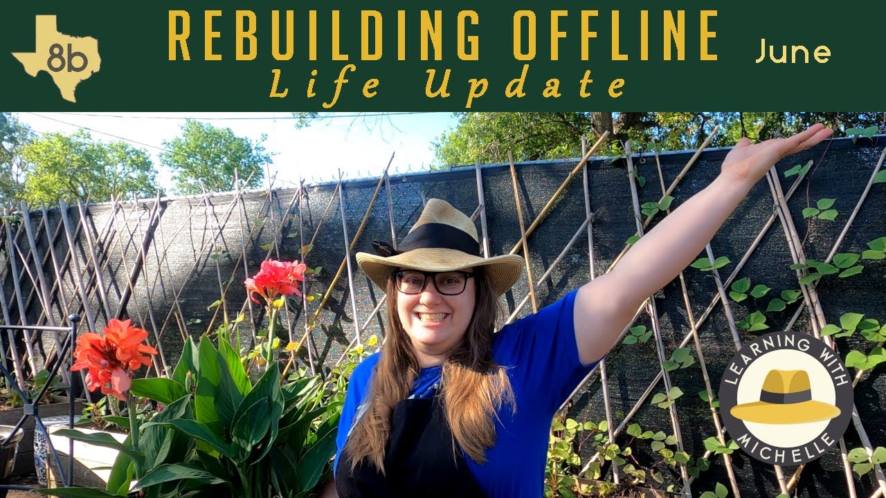 Recovering Offline-Life update - YouTube