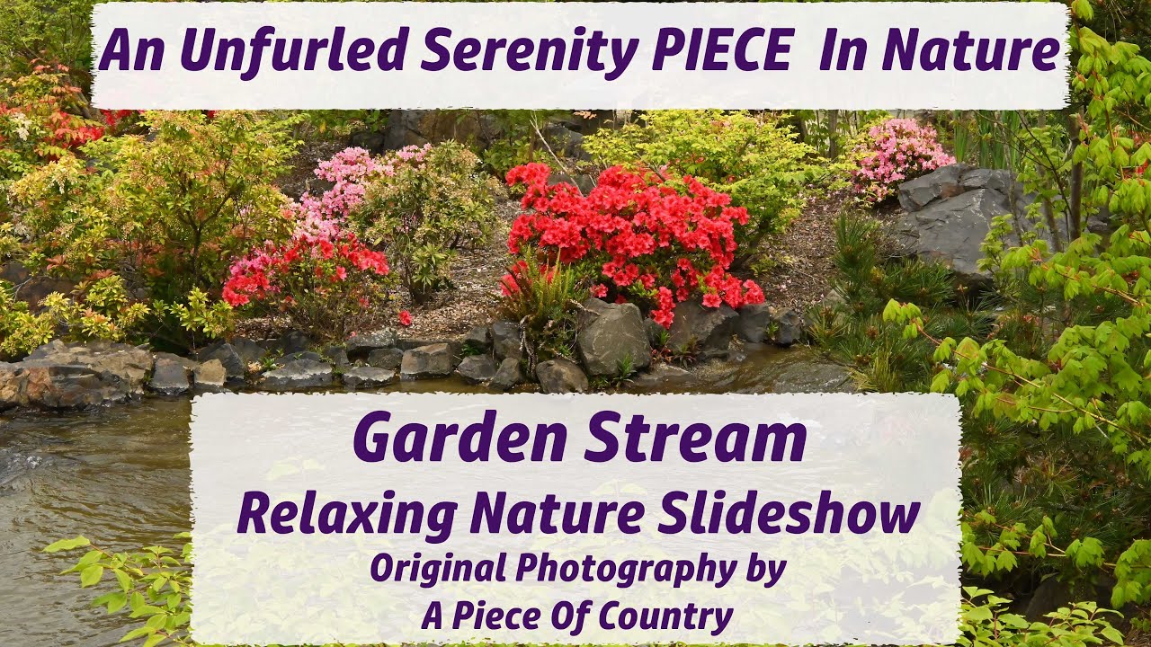 Garden Stream ~ Relaxing Nature & Peaceful Calming Music ~ 4K Original ...