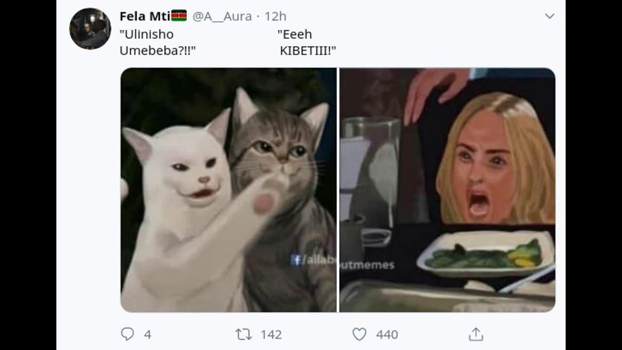 Woman and cat arguing Meme Compilation - YouTube