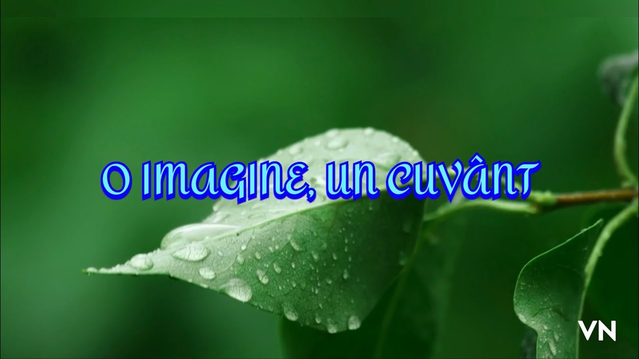 O IMAGINE, UN CUVÂNT - 12 05 2023 - YouTube