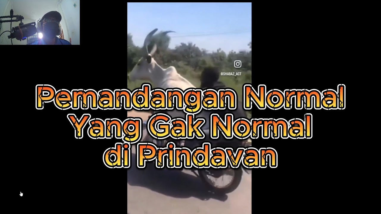 Pemandangan Normal Yang Gak Normal di Prindavan - YouTube