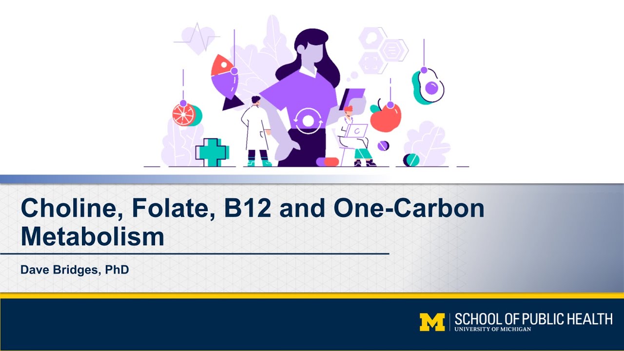 Choline, Folate, B12 and One Carbon Metabolism - YouTube