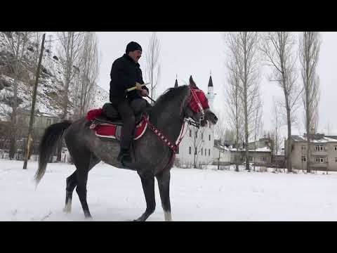 YavuzHan Uyluk ve Cirit Eğitimi