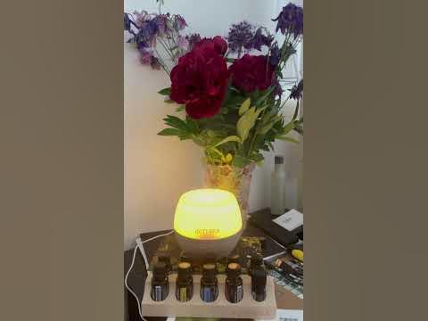 Эфирный Дом 🏡 набор эфирных терапевтических масел для дома 🌿 - YouTube