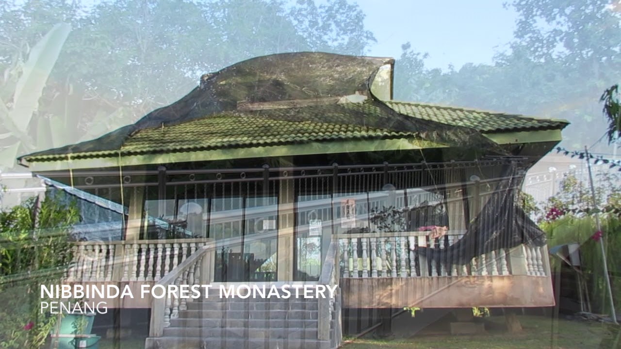 Nibbinda Forest Monastery - YouTube