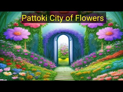 Pattoki is the City of flowers famous in the would - YouTube