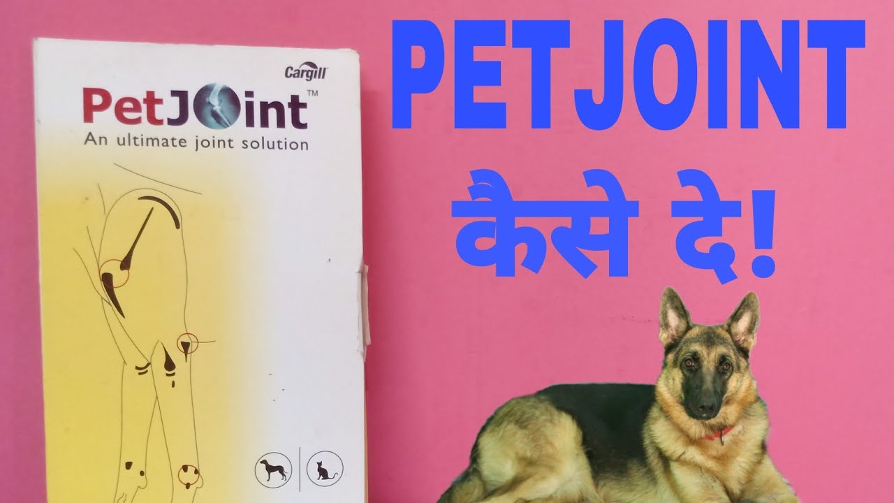Pet Joint For Dog || leg bending problem - YouTube