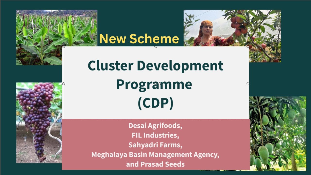 New Scheme || Cluster development programme - YouTube