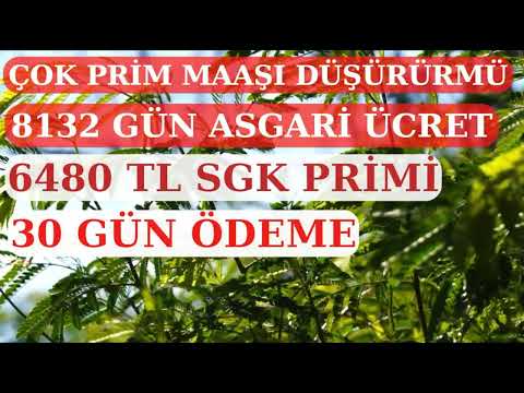 Çok Prim Maaşı Düşürürmü ? #eyt #sgk #bağkur #memur #emeklilik #zam #ssk