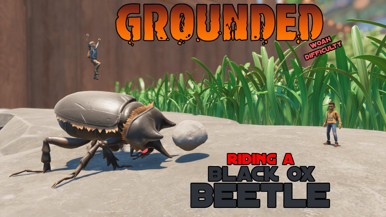 Grounded: Riding Bugs on WOAH Difficulty - Survival Part 12 - YouTube