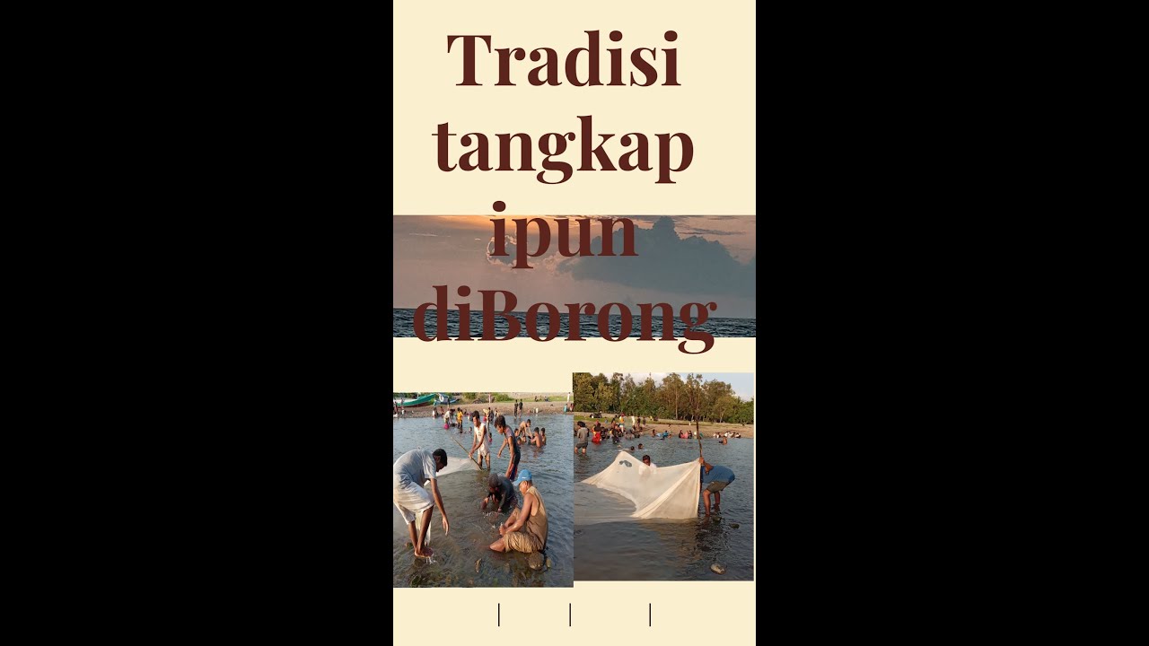Tradisi Menangkap Ipun di Manggarai Timur !!merupakan Ikan Simbol ...