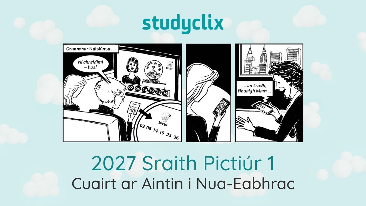2027 Sraith Pictiúr 1 - Cuairt ar Aintín i Nua-Eabhrac | Leaving Cert ...