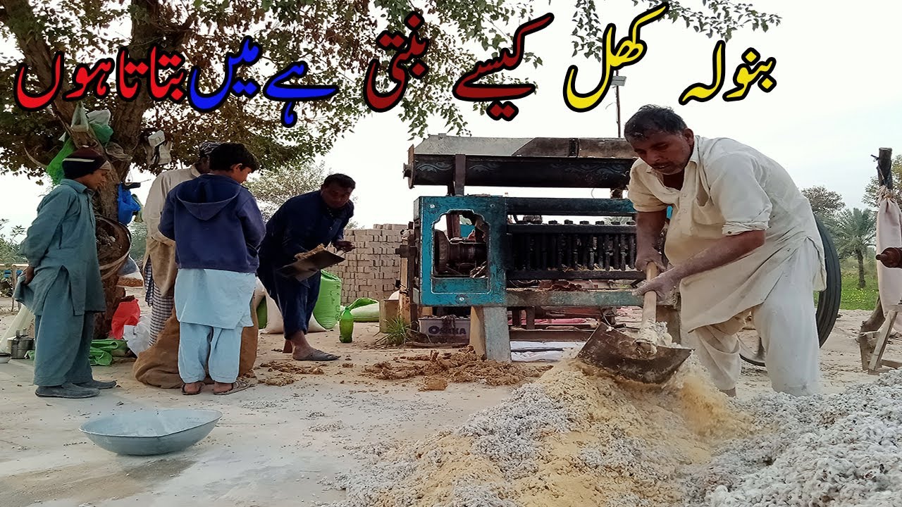 Banola Khall Banany Wali Machine - Cotton Seed Cake - Oil Expeler ...