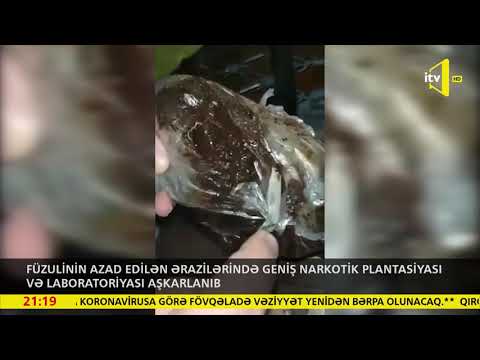 Füzulinin işğaldan azad edilən ərazilərində geniş narkotik plantasiyası və laboratoriyası aşkarlanıb