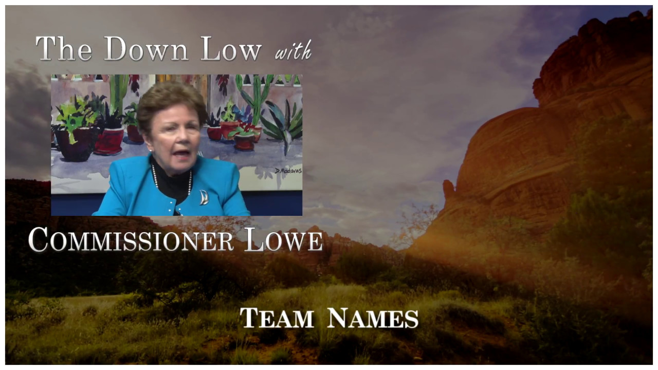 ADRE Commissioner Judy Lowe (2017) - Team Names - YouTube
