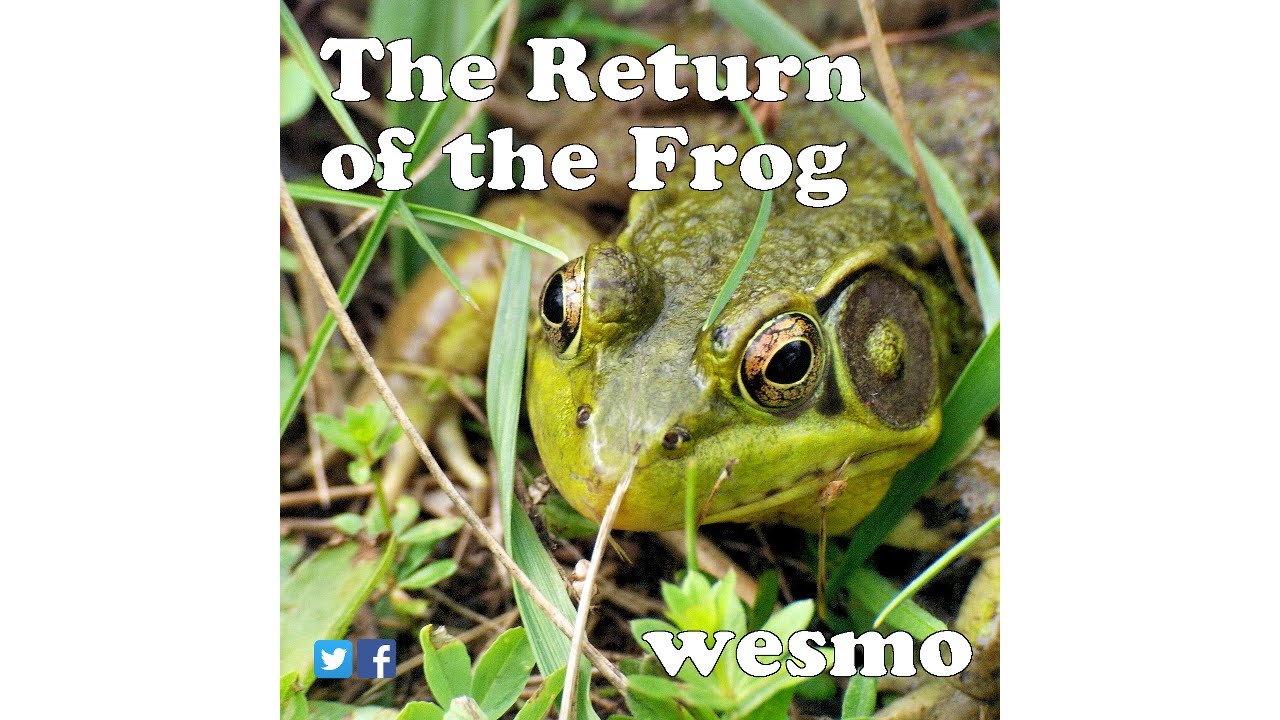 THE RETURN OF THE FROG - YouTube