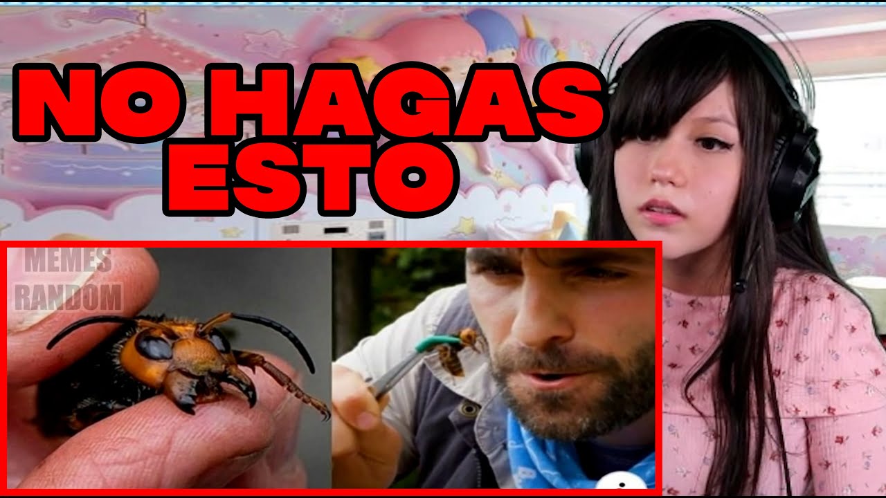 MEMES RANDOM #245 - KARLI SAKURA REACCIÓN - YouTube