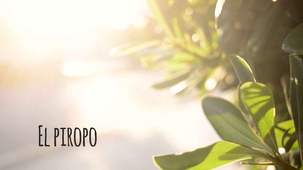 El piropo (Full HD) - YouTube