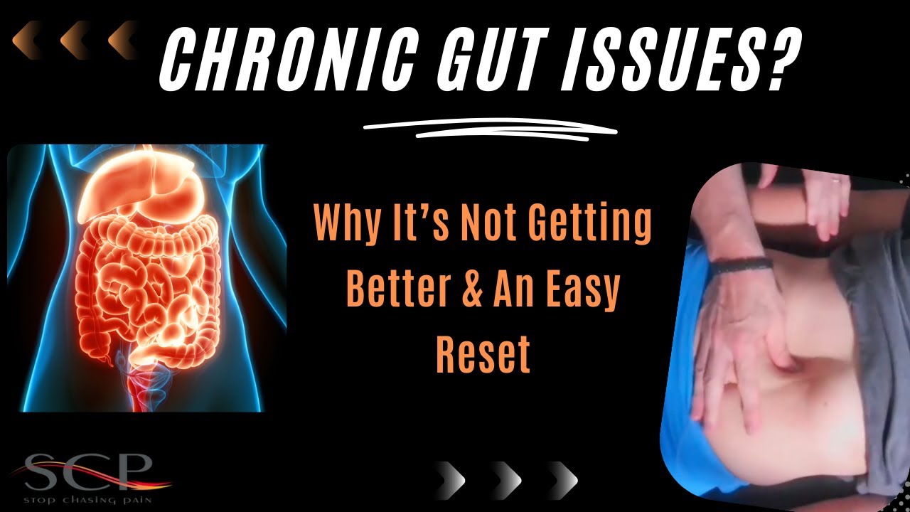 Chronic Gut Issues? Why It's Not Getting Better - YouTube