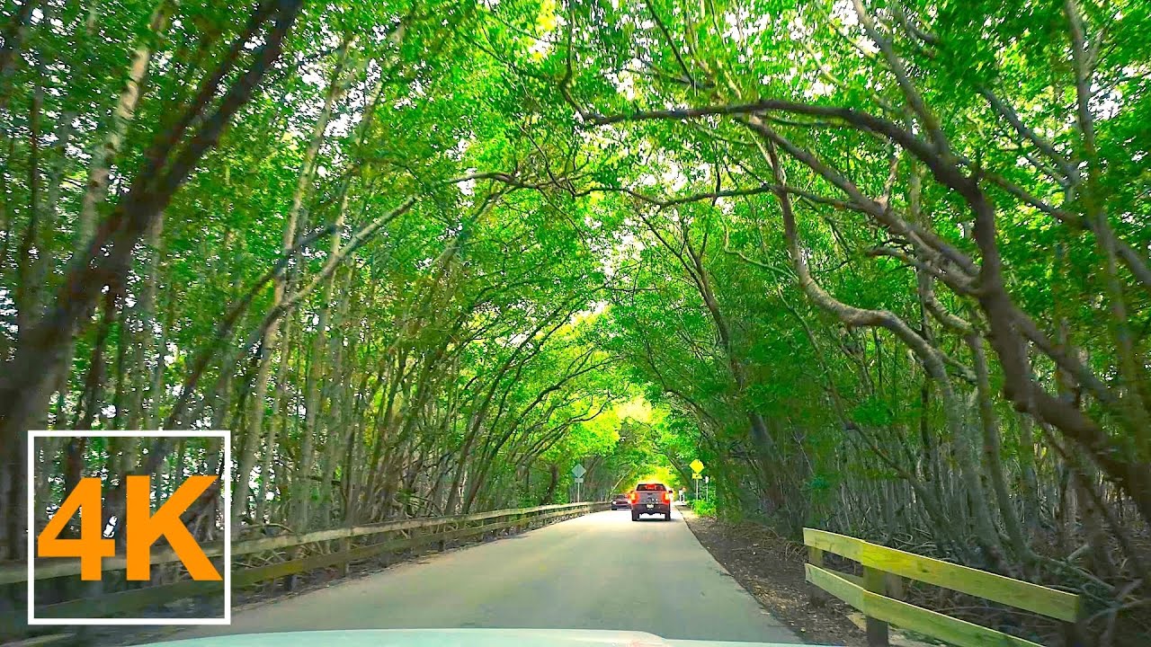 Driving tour - Miami FOREST to hidden BEACH that - YouTube