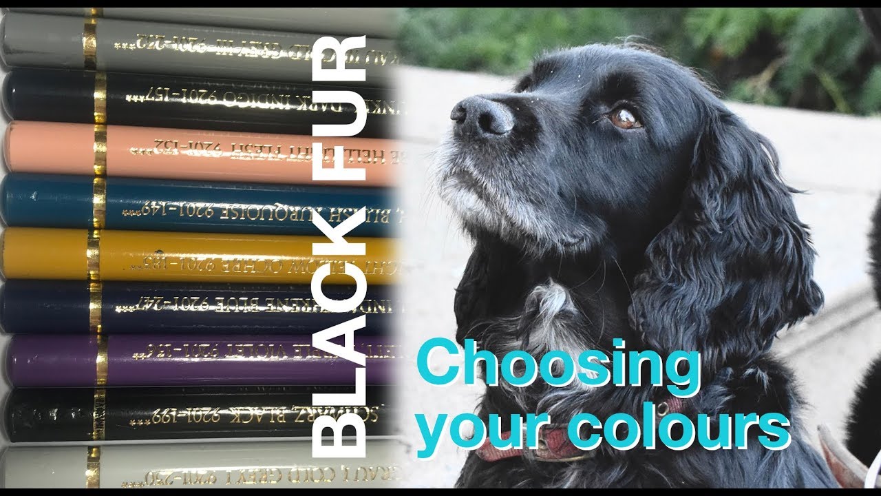 How to choose coloured pencils for black fur - YouTube