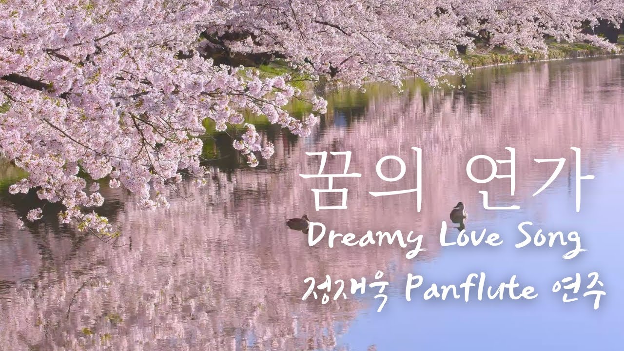 꿈의 연가ㅣDreamy Love Songㅣ박경규 작곡ㅣ게오르그 장피르ㅣ팬플룻(Panflute) 정재욱 - YouTube